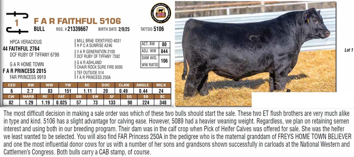 Lot 1: Frey Angus Ranch - 51st Annual Angus Bull Sale | DVAuction
