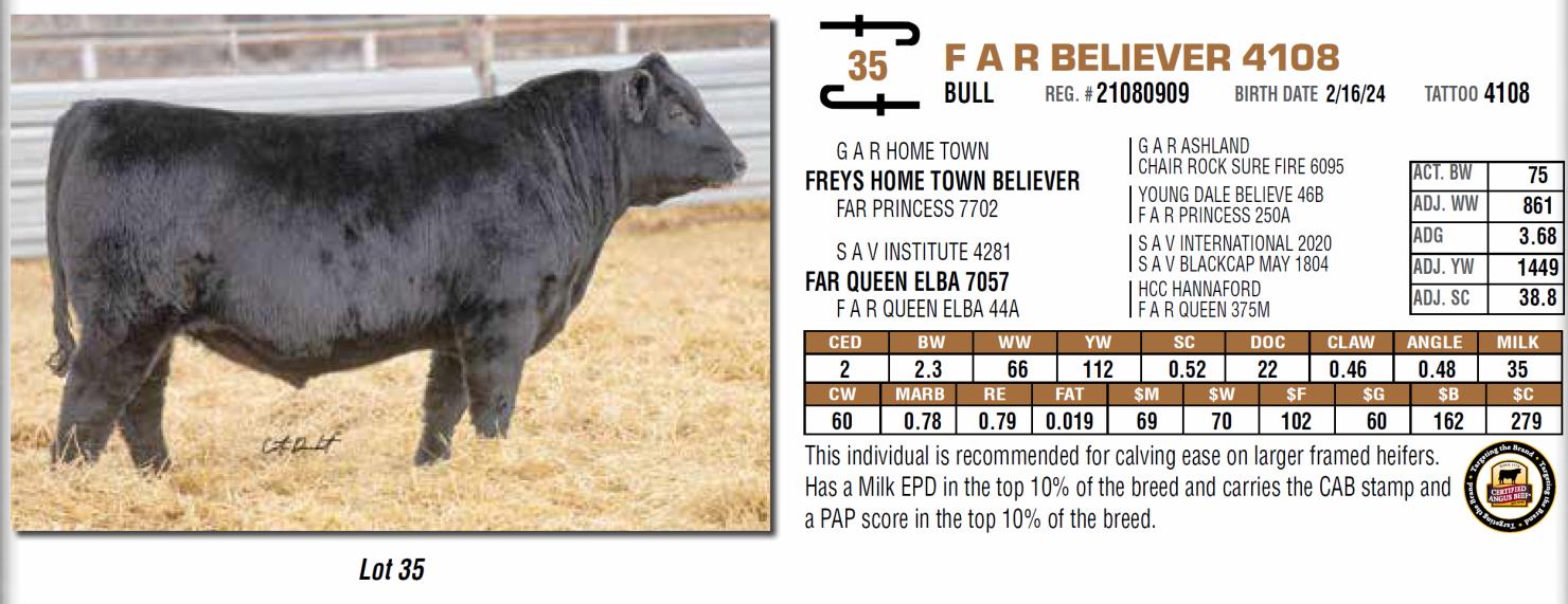 Lot 35: Frey Angus Ranch - 50th Annual Angus Bull Sale | DVAuction