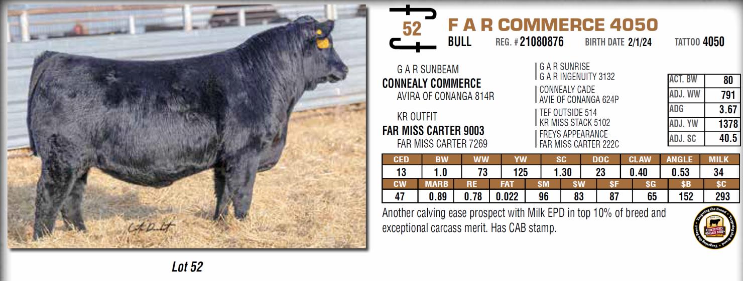 Lot 52: Frey Angus Ranch - 50th Annual Angus Bull Sale | DVAuction