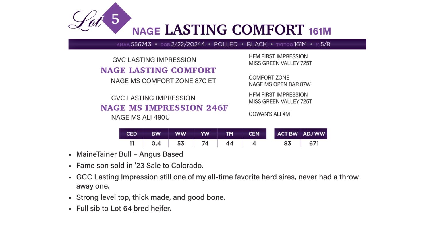Lot 5: Nagel Cattle Co - Performance Plus Maine-Anjou Bull & Female ...