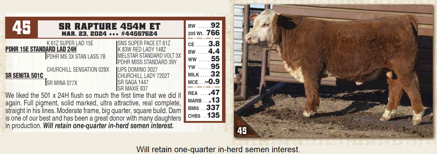 Lot 45: Stuber Ranch's 57th Annual Bull Sale | DVAuction