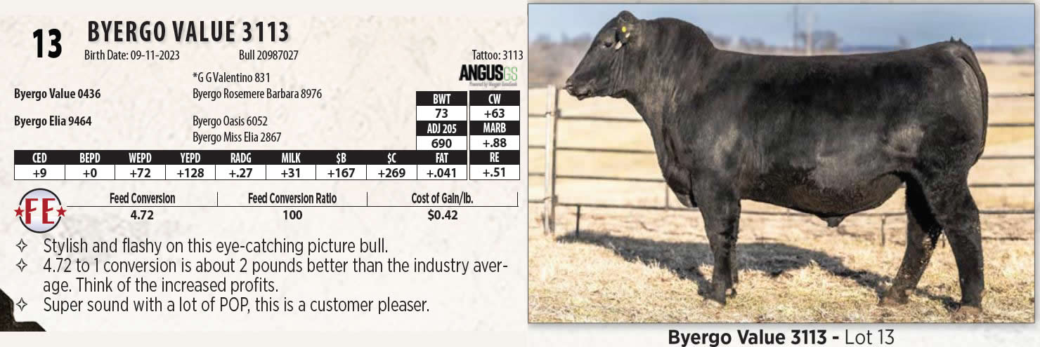 Lot 13: Byergo Angus Farms - Annual Bull Sale | DVAuction