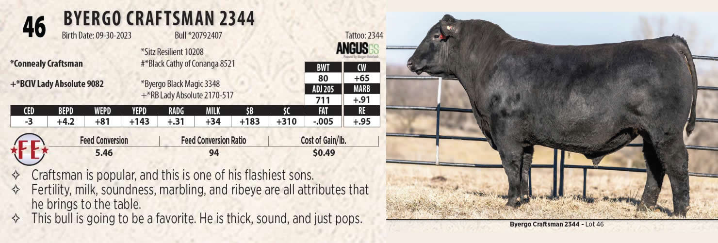 Lot 46: Byergo Angus Farms - Annual Bull Sale | DVAuction
