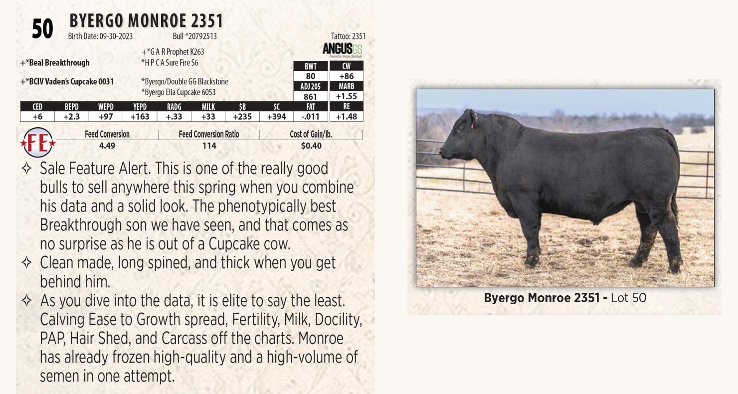 Lot 50: Byergo Angus Farms - Annual Bull Sale | DVAuction