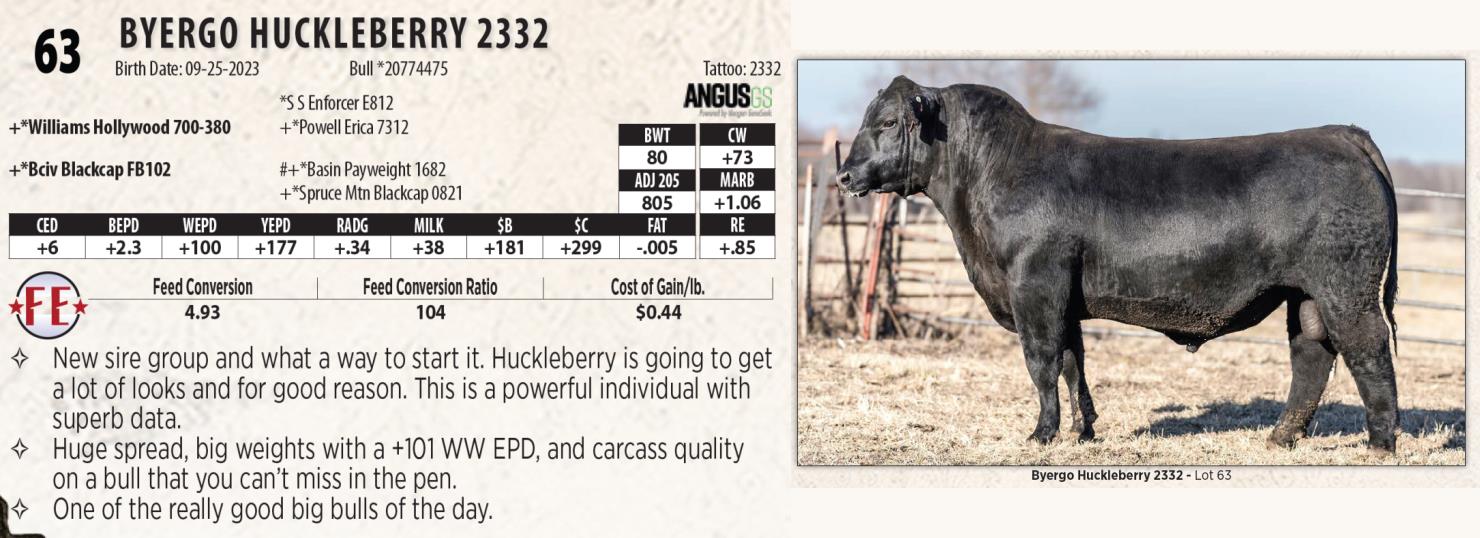 Lot 63: Byergo Angus Farms - Annual Bull Sale | DVAuction