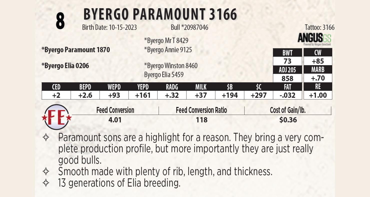 Lot 8: Byergo Angus Farms - Annual Bull Sale | DVAuction