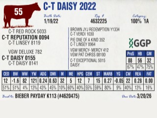 Lot 55: Big Sky Elite - Red Angus Female Sale | DVAuction