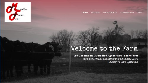 Marshall & Fenner Farms & Murphy Cattle Company | DVAuction