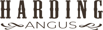 Broadcasting Real-Time Auctions | Harding Angus Ranch