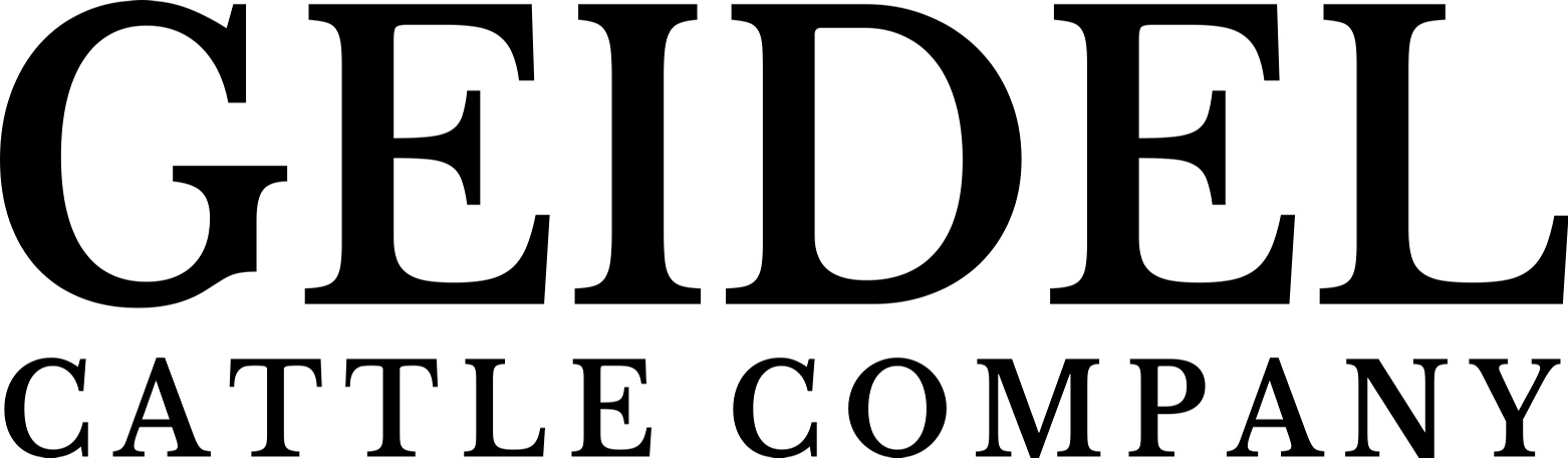 2/15/26 Geidel Cattle Co. - Online Sale | Geidel Cattle Co.