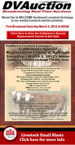 Broadcasting Real-Time Auctions | DVAuction