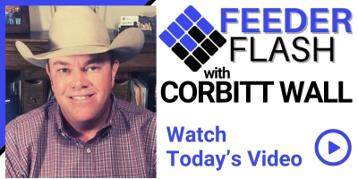 Broadcasting Real-Time Auctions | DVAuction