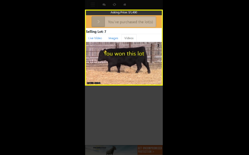 Tutorials | DVAuction