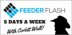 Broadcasting Real-Time Auctions | Angus Auctions