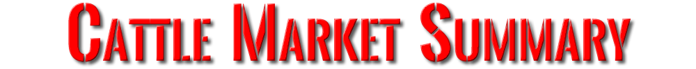 Cattle Market Summary | DVAuction