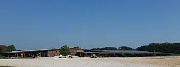 National Beef Wire | Springfield Livestock Marketing Center