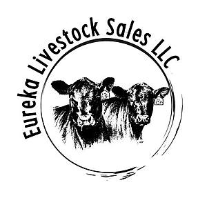 National Beef Wire | Springfield Livestock Marketing Center