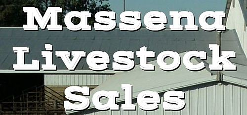 National Beef Wire | Orland Livestock Commission Yard Inc